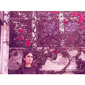 FC Carino Nikki Reed - 18X24 Rare Poster Print FCA #IDP595728