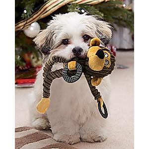 HGB Squeaky Puppy Toys, Plush Puppy Chew Toys for Teething, Dog Toys for Small Dogs, Small Dog Toys for Small Breed, Cute Monkey Interactive Dog Toys for Pet Training and Entertaining