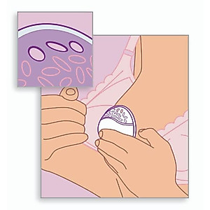 Breast Shell, Philips Avent, Transparent