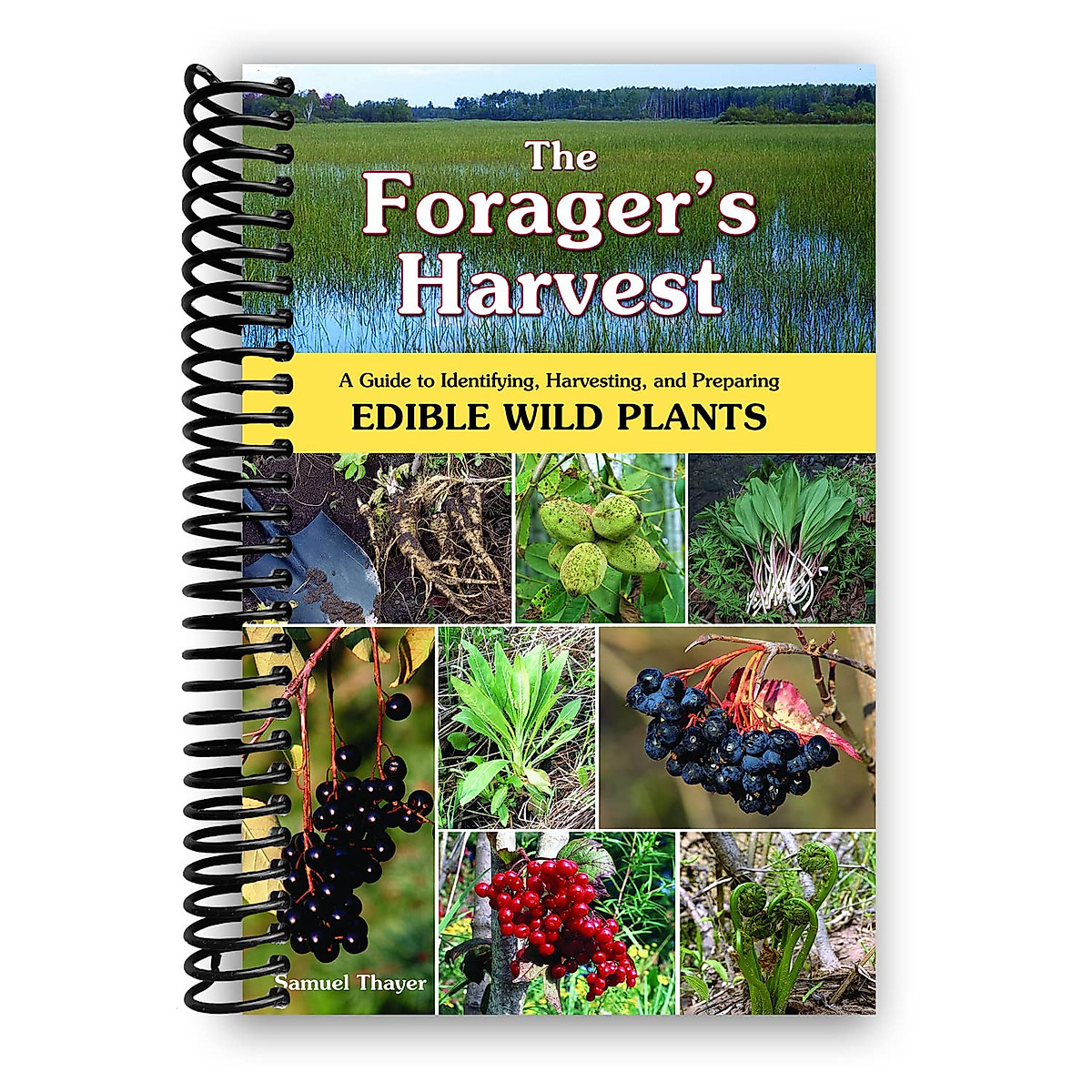 The Forager's Harvest: A Guide to Identifying, Harvesting, and Preparing Edible Wild Plants