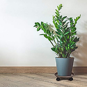 Fasmov 3 Pcs Plant Pallet Caddy Plant Stand Round Flower Pot Mover, Plant Pot Pallet Dolly Caster with Universal Wheels (Brown)