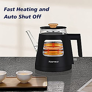 Topwit Electric Kettle, 1.0L Electric Tea Kettle with Removable Stainless Steel Infuser, BPA-Free Electric Glass Kettle with Window, Double Wall Water Warmer, Gooseneck Kettle, Auto-shut Off, Black