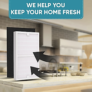 2 Pack Replacement Filters - C - for Idylis Air Purifiers IAP-10-280, IAP-10-200, Part# IAF-H-100C