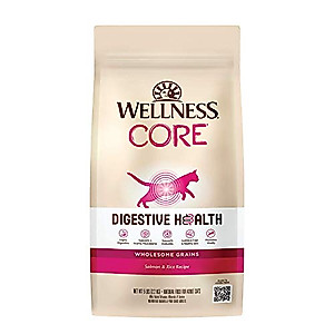 Wellness CORE Digestive Health Salmon & Rice Dry Cat Food, 5 Pound Bag