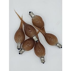 On The Bright Side Primitive Silicone Dipped 5 Watt Light Bulb - Pack of 6 - Rustic Brown Color