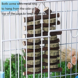 Hamiledy Bunny Chew Toy for Teeth,Guinea Pig Natural Organic Fruitwood Sticks with Grass Cake for Rabbits,Chinchillas,Gerbils, Squirrels, Hamsters, Chewing/Playing Pet Snacks Toy/Improve Dental Health