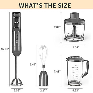 La Reveuse Immersion Hand Blender, 3 in 1, 300 Watts 2 Speeds Multi-purpose with Whisk,Mixing Beaker,Food Chopper Grinder attachments