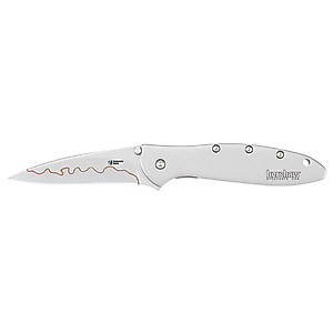Kershaw Leek Composite Blade Folding Pocketknife, 3" D2 Steel and 14C28N Stainless Steel Blade, Assisted Opening Folding EDC