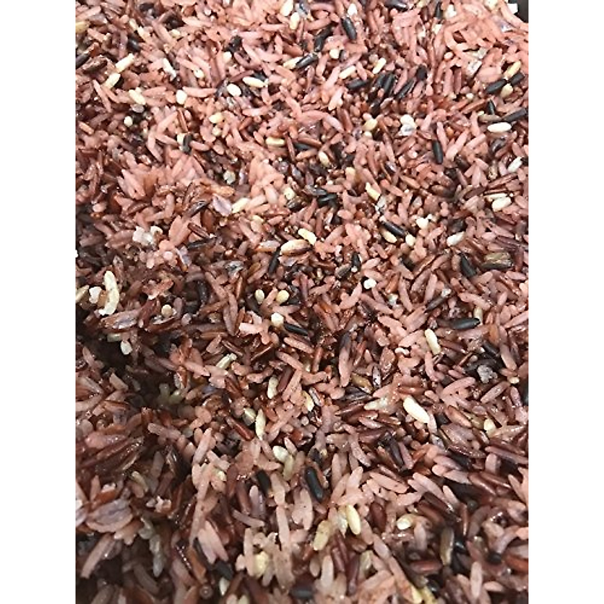 Thyme & Seasons Purple Rice Blend - Black, Cargo, Jasmine, and Sweet Rice - 5 lbs.