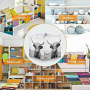 WELLDAY Storage Basket Highland Cow Foldable 11 x 11 x 11 in Cube Storage Bin Home Decor Organizer Storage Baskets Box for Toys, Books, Shelves, Closet, Laundry, Nursery