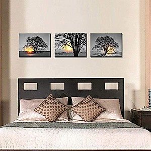 Nachic Wall - 3 Piece Black and White Tree Wall Art Gold Sunset Landscape Painting Print on Canvas Framed Warm Winter Scenery Poster for Living Room Bedroom Decoration