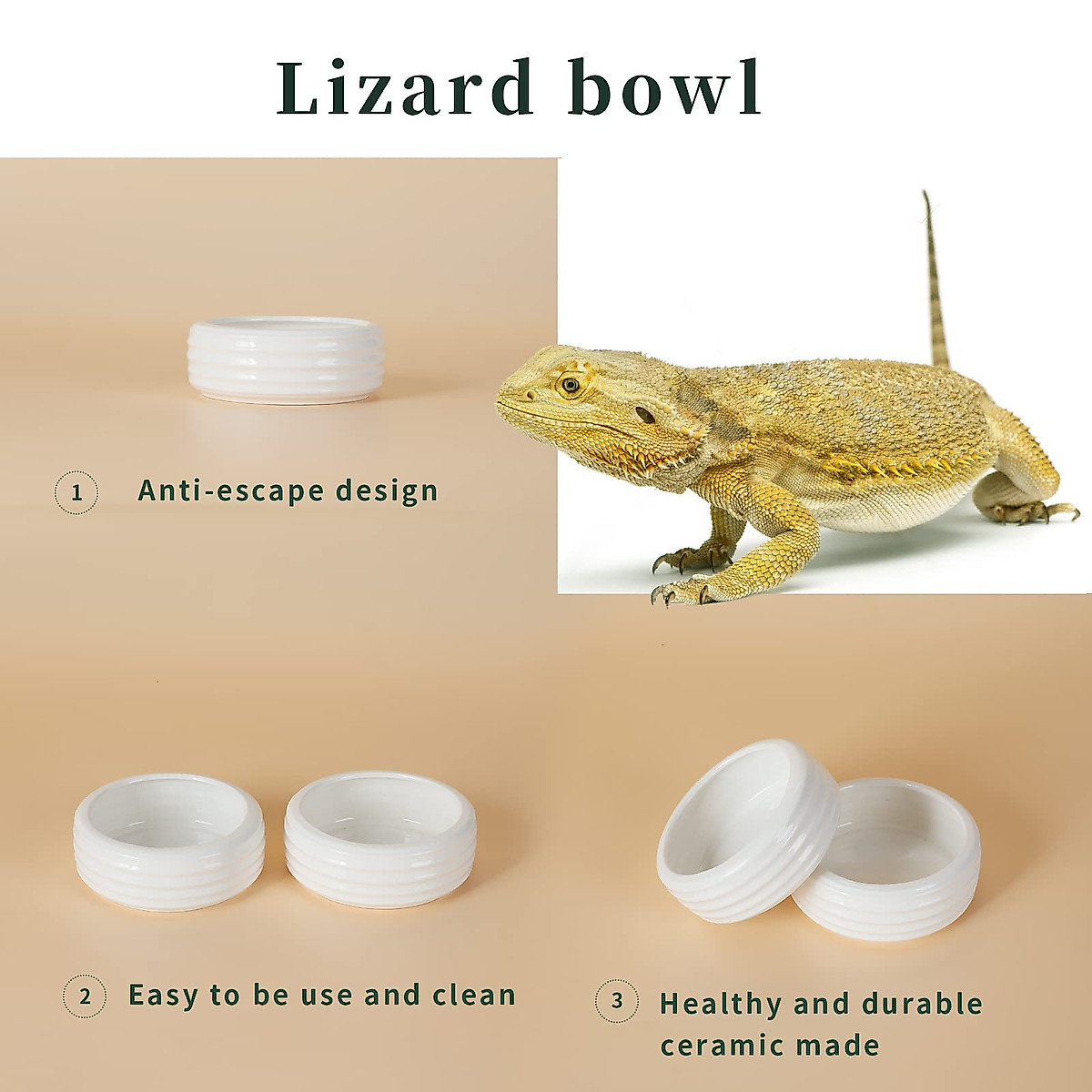 Reptile Food Bowls Ceramic Round Reptile Water Food Dish, Pet Food Bowl for Lizards, Small Snakes, Young Bearded Dragons, Gecko Tortoise Spider (White, Medium-2Pack)