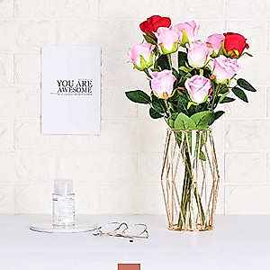 Rustic Industrial Wall Mount Pipe Hanger Holder Rack Clothes Bar,Double Towel Holder Hanger Rails,Iron Towel Rail,Multifunction Retro-Styled Bathroom Rack, Black