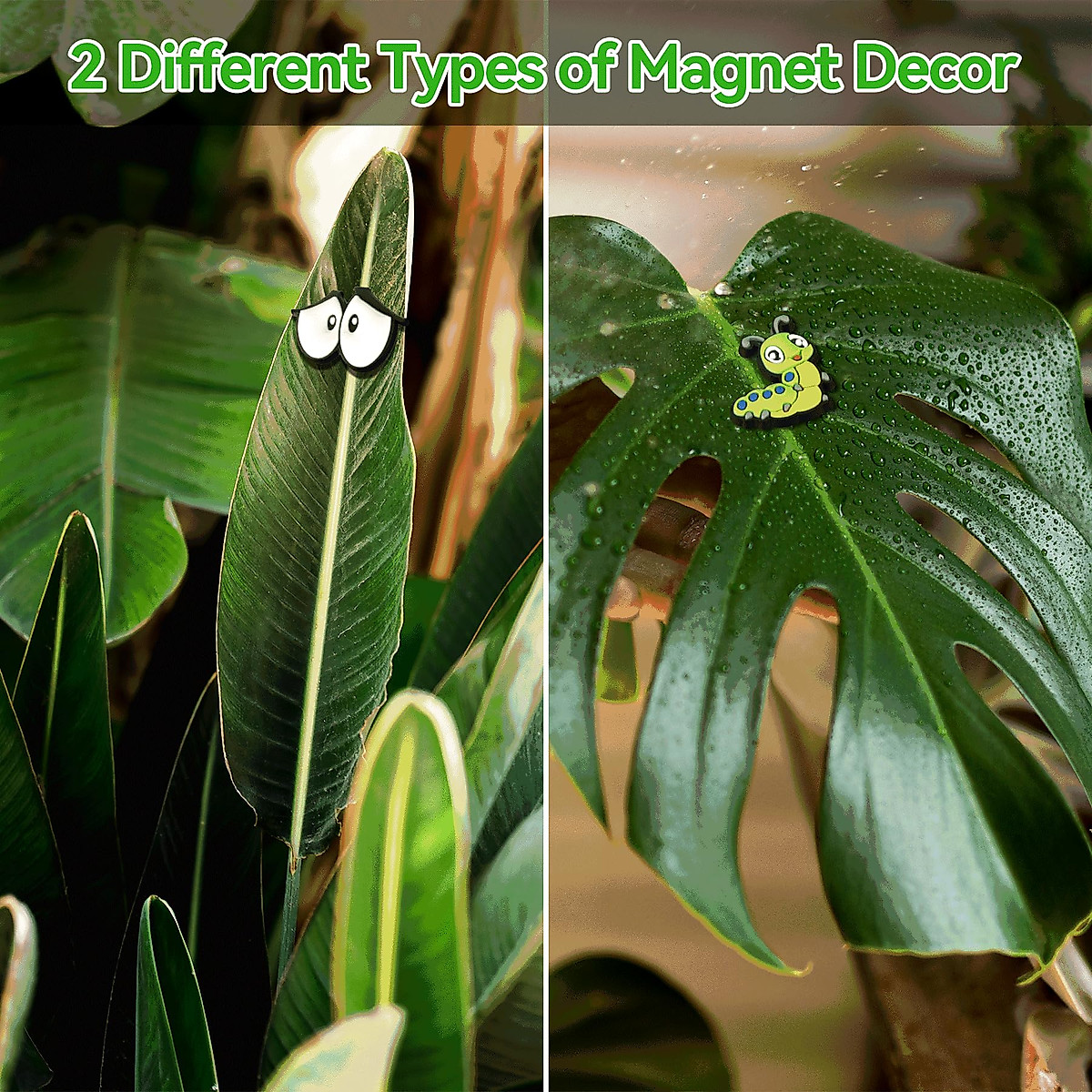 Cslehel Plant Magnets Eyes for Potted Plants ，8 PCS Cute Magnetic Plant Eyes with Cartoon Eyes, Funny Plants Pins for Indoor Outdoor Office Plants Accessories, Plants Lover Gifts,