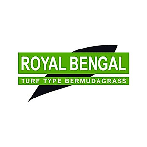 Hancock Seed Co. Royal Bengal Bermuda Grass Seeds, 2 lbs.