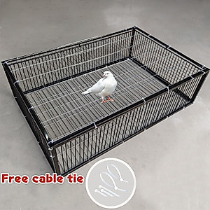 NEONMAN Pigeon Trap with Escape-Proof Design Pigeon Cage with One-Way Entry Encrypted Pigeon Automatic Pigeon Collection Chicken Cage and Bird Trap with Metal Welding Portable Easy Assembly(Black,28x1