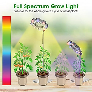 Grow Lights for Indoor Plants, Full Spectrum Plant Lights for Indoor Growing, Height Adjustable Led Halo Grow Light with Base, Growing Lamp with Automatic Timer, 10-Level Dimmable for Indoor Garden