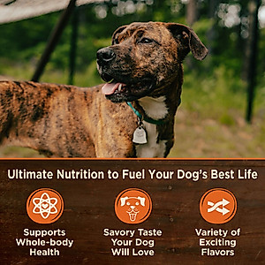 Wellness CORE Hearty Cuts Natural Wet Grain Free Canned Dog Food, Chicken & Turkey, 12.5-Ounce Can (Pack of 12)