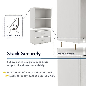 HOMES: Inside + Out Apexa 2-Drawer Wooden Stackable Storage Drawers, Small Food Pantry Cabinet, Cajonera De Madera, Underbed Drawer Dorm Teen Room Decor & Bedroom, Home Office, Kitchen, Black