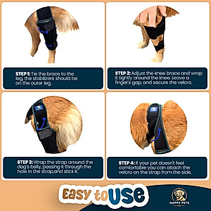 HAPPY PETS CO Dog Knee Brace Adjustable Front Hind Leg Brace for Cruciate Ligament Injury, Luxating Patella, Torn ACL