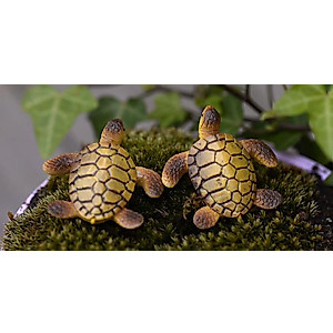 SunRise 6pcs Resin Cute Beach Sea Turtle Miniature Figurine Status Micro Landscape Decorations Fairy Gardens Dollhouse DIY Ornaments Decor
