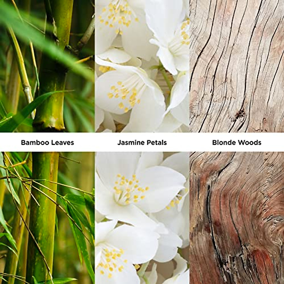 REVLON Women's Perfume Fragrance, Reign On, Eau de Toilette Spray, 8 Fl Oz