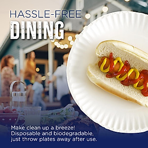 Paper Plates 9 Inch Bulk Paper Plates | White Paper Party Plates | Uncoated Disposable Microwavable Paper Plates | Microwave Safe Dishes For Everyday Dinner Picnic BBQ Party Event Crafts | 100 Pack