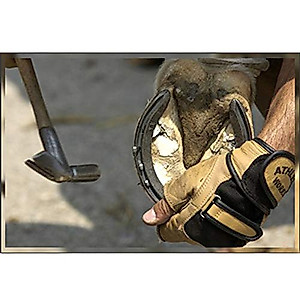 E-outstanding 50-Pack Low Carbon Steel 2 Inch E5 Horseshoe Nails, Polished and Galvanized