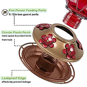 BOLITE 18016-R Hummingbird Feeder, Glass Hummingbird Feeder for Outdoors, Meshy Texture Ball Shape Bottle, 18 Ounces, Red, Xmas Gifts for Bird Lovers