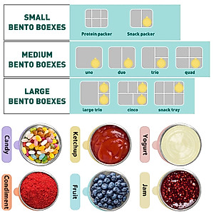 Engorgio Stainless Steel Salad Dressing Container to go 2.1oz 6pcs, Mini Condiment Containers with Leakproof Silicone Lids, for Lunch Box Picnic Travel and Kids