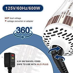 Travel Hair Dryer Brush Blow Dryer Brush in one, Mini Hot Air Brush, Hair Trends Nano Titanium 2 Inch One Step Hair Dryer and Styler Volumizer-Not Dual Voltage