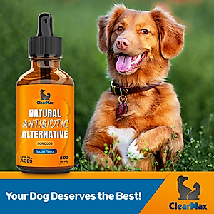 Natural Antibiotics for Dogs ◆ Dog Antibiotic ◆ Antibiotics for Dogs ◆ Dog Multivitamin ◆ Pet Antibiotic ◆ Dog Antibiotics ◆ Antibiotic for Dogs ◆ 2 Oz