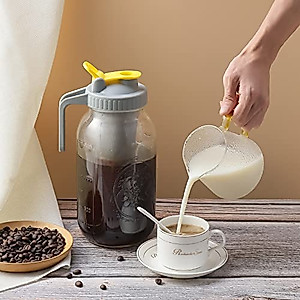 COKPAPA Coffee Strainer Stainless Steel Mesh Filter- 2 Quart (64 oz)- 2pcs Wide Mouth Flip Cap Lid with Handle for Ball Mason Jar, Suitable for Cold Brew, Lemonade, Iced Tea and Iced Coffee