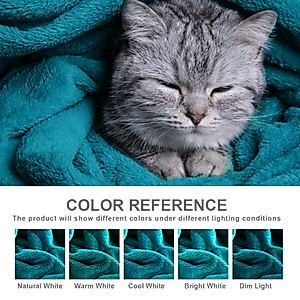 Hansleep Fleece King Size Blanket for Bed Teal, Super Soft Flannel Fuzzy King Size Blanket, Plush Cozy Blanket for All Seasons, Teal, King 90x108 Inches