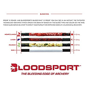 BLOODSPORT unisex adult Precise Durable Carbon Hunting Arrow for - 325 Grains|300 Spine|.003" Straightness| WITNESS 20 CROSSBOW BOLT , Black, US