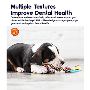 Petstages Orka Mini Dental Dog Chew Toys - 3 Pack