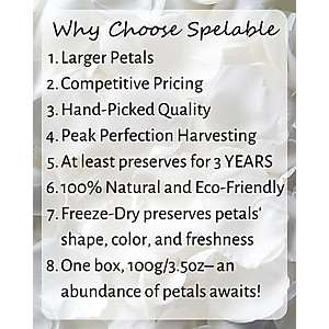 REAL Rose Petals, Pearl White Freeze-Dried Petals 3.5oz Biodegradabel Wedding Natural Confetti, Perfectly Preserved Flower Petals for Table Decorations