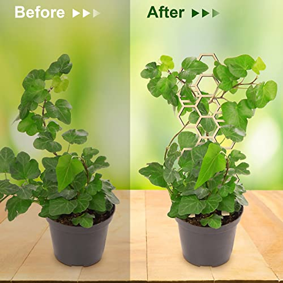 2 Pieces Wooden Small Indoor Trellis Plant Trellis for Climbing Plants Hexagon Trellis for Potted Plants Trellis Vine Supports Garden Trellises with 10 Pieces Black Cable Ties for Plant (Honeycomb)