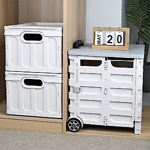 Collapsible Outdoor Storage Box with Cover 45L Foldable Camping Box Portable Trunk Car Grocery Case