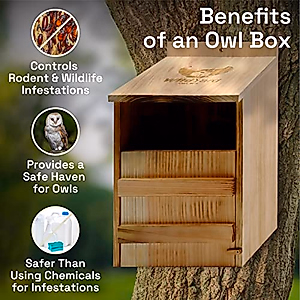Owl House Real Wood - Easy to Hang - Prebuilt Owl Box for Outside - Houses Owls & Kestrels - Cedar Shavings & Screws Included - Owl Nesting Box - Barn Owl - Screech owl - Owl Houses for Outdoors