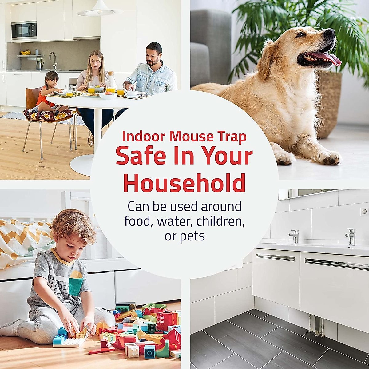 Mouse Trap Multi-Catch and Release Humane with See-Through Window Lid, Non-Lethal Mouse Traps for Indoor and Outdoor Use, Catches Up to 30 Mice, (12 Pack)