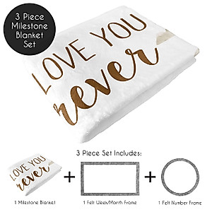 Sweet Jojo Designs Boho Llama Boy Girl Milestone Blanket Monthly Newborn Growth Mat Baby Shower Keepsake - Gender Neutral Beige Taupe Tan Bohemian Southwest Aztec Watercolor Mountain Cactus Farmhouse