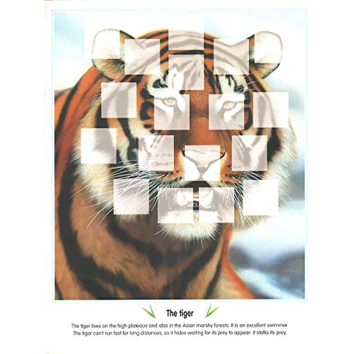 3 PACK Amazing Animal Puzzle Stickers 1,2 & 3