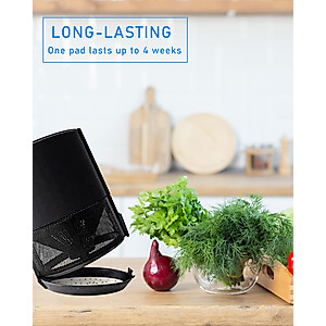 50 Pcs 4.3" Refill Glue Boards Compatible with Katchy, Fenun, Dunaga, and Fvoai Zap H3 M3 Pro, Replacement Sticky Pads for Indoor Insect Fly Mosquito Trap Bug Catcher Catchy Zapper