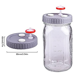 Eleganttime 8Pcs Wide Mouth Liquid Culture Lids,Cultivation Mason Jar Lid with 0.22um PTFE Syringe Filter & 20mm Self Healing Injection Ports For Mushroom(Grey)