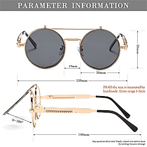 HJSTES Round Flip Up Sunglasses for Men Women Circle Rave Glasses 90's Vintage Steampunk Style(Gold/Grey)