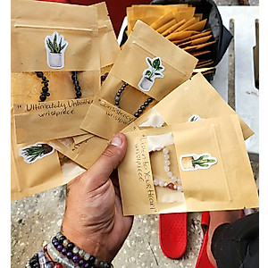 100pcs 3.5 x 5.5 inch Kraft Paper Treat Bags with Window Ziplock Stand Up Pouches for Food Storage Cookies Snacks Tea Packing