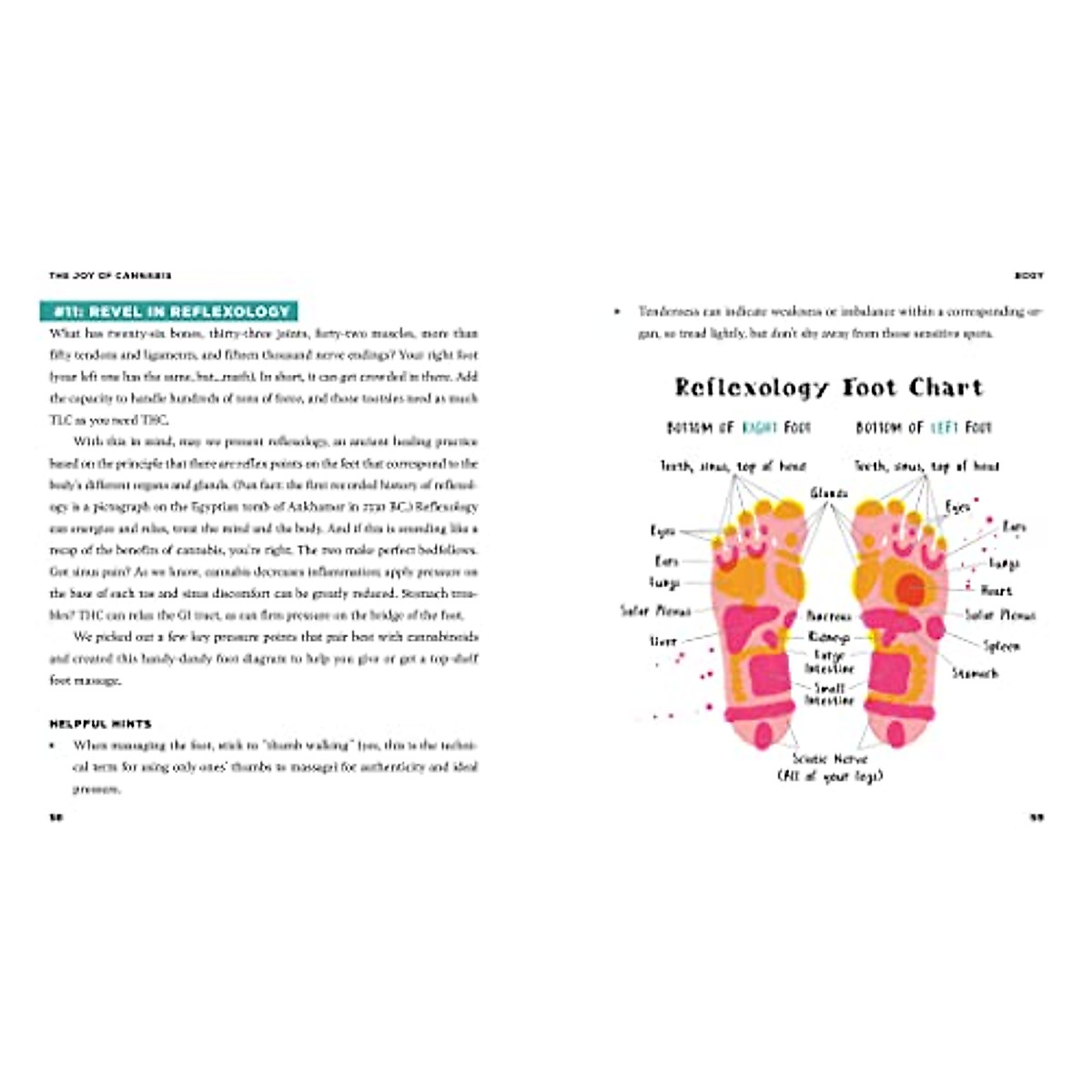 The Joy of Cannabis: 75 Ways to Amplify Your Life Through the Science and Magic of Cannabis (Coffee Table Book, Adult Activity Book, or Self-Care Gift for a Happy High)