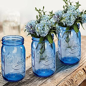 Tebery 6 Pack Vintage Blue Home Mason Jars with Airtight lids & Bands, 32Oz Wide Mouth Quart Glass Canning Jar for Fermenting, Pickling, Storage, DIY Crafts & Decor