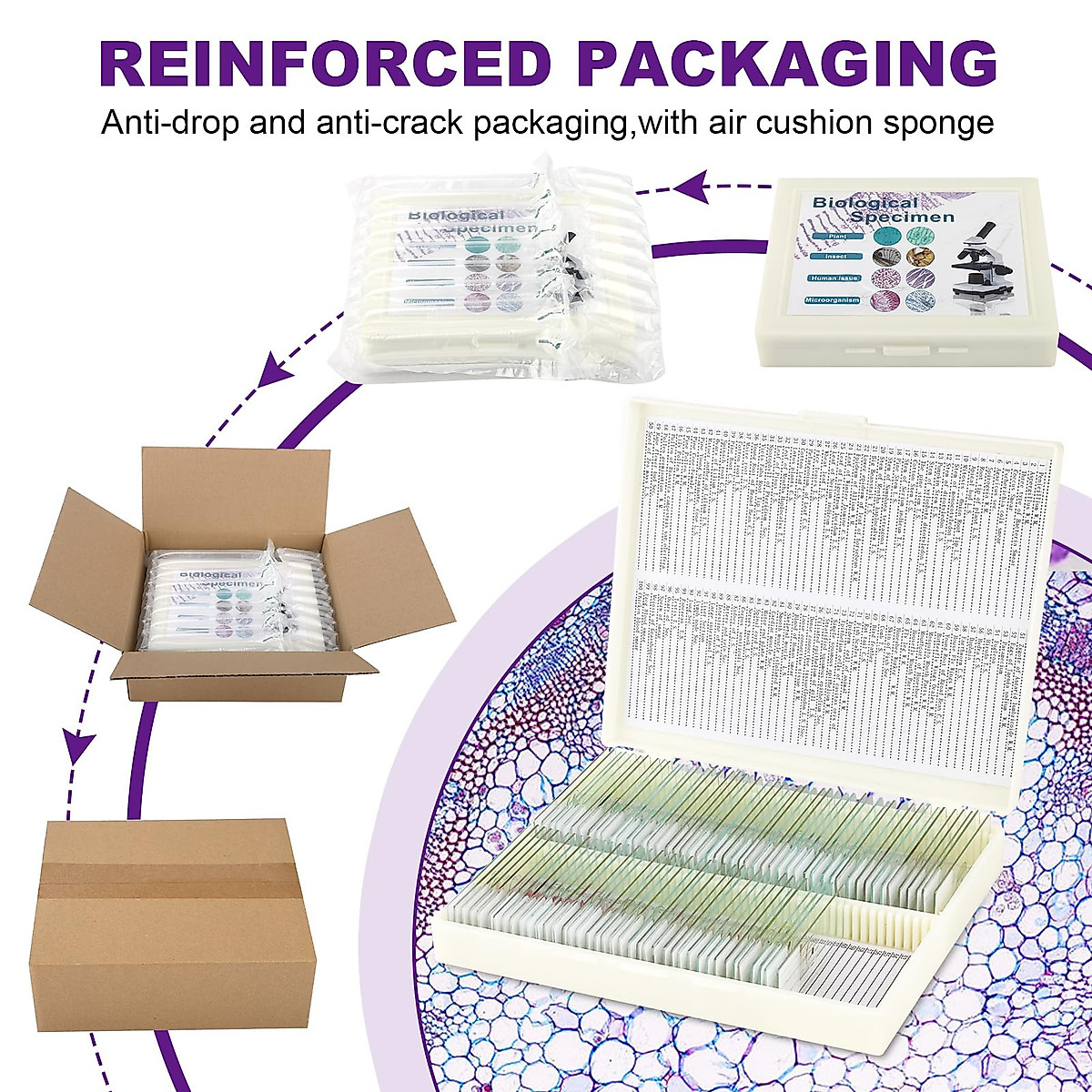 100 Pcs Microscope Slides with Specimens for Kids,Prepared Microscope Slides for Kids,Prepared Slides for Microscope,Microscope with Slides for Student Adults, Including Insect, Animal, Human Tissue